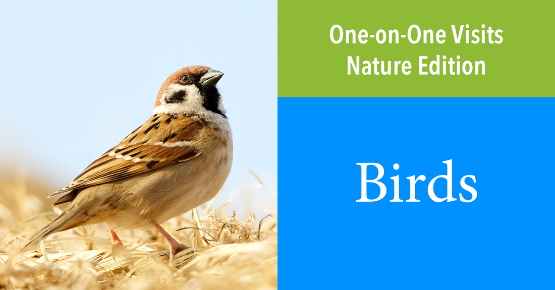 One on One Visits: Birds | Nature Edition | The Purple Primer