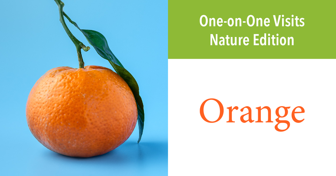 One on One with an Orange | Nature Edition | The Purple Primer