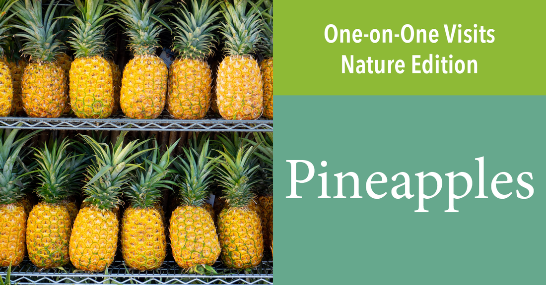 One on One: Pineapples | Nature Edition | The Purple Primer